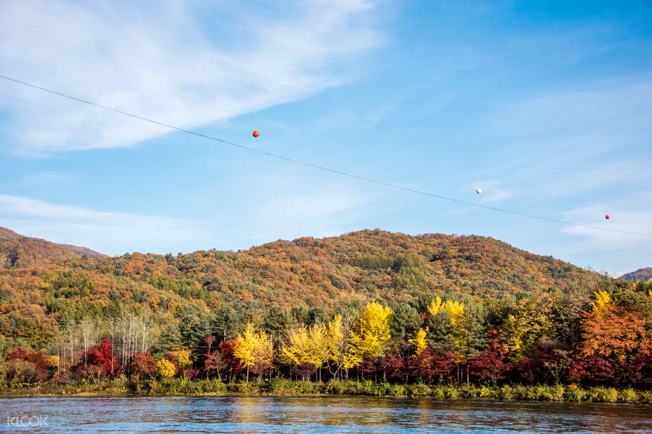 [Special Offer] Nami Island Admission with Restaurants & Activities ...